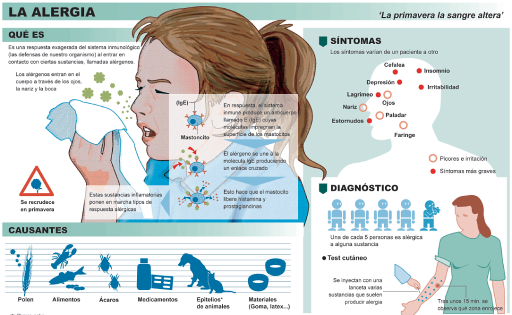Tratamiento Integral De Las Vías Respiratorias Salud Ediciones